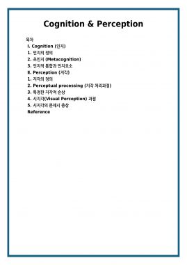Cognition & Perception-1페이지