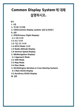 Common Display System에 대해 설명하시오.-1페이지