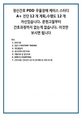 정신간호 PDD 우울장애 케이스 스터디 진단12개 계획,수행도 12개 자신있습니다. 문헌고찰부터 간호과정까지 없는게 없습니다. 이것만 보시면 됩니다-1페이지