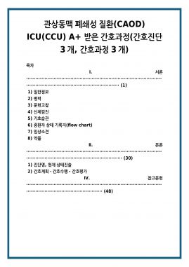 관상동맥 폐쇄성 질환(CAOD) ICU(CCU) 받은 간호과정(간호진단 3개, 간호과정 3개)-1페이지