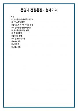 문명과 건설환경 - 텀페이퍼-1페이지