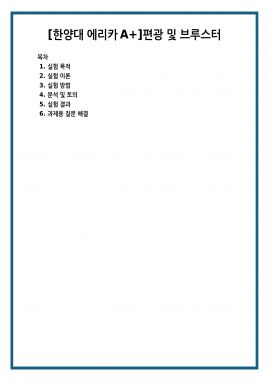 [한양대 에리카]편광 및 브루스터-1페이지