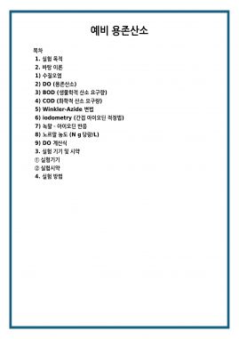 예비 용존산소-1페이지
