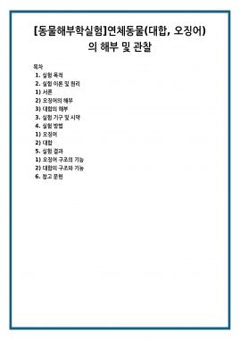 [동물해부학실험]연체동물(대합, 오징어)의 해부 및 관찰-1페이지