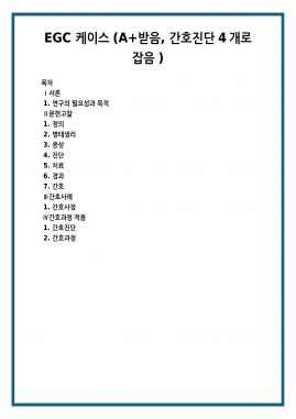 EGC 케이스 (간호진단 4개로 잡음)-1페이지