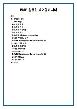 EMP 활용한 방어설비 사례-1페이지