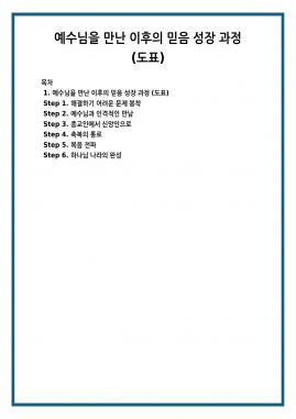예수님을 만난 이후의 믿음 성장 과정 (도표)-1페이지