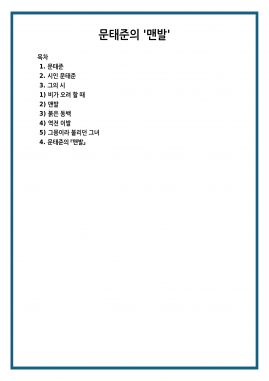 문태준의 맨발-1페이지