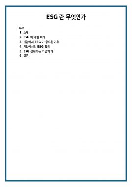 ESG란 무엇인가-1페이지