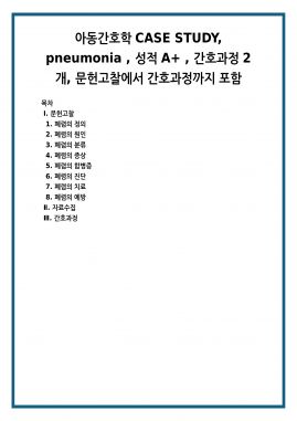 아동간호학 CASE STUDY, pneumonia ,  , 간호과정 2개, 문헌고찰에서 간호과정까지 포함-1페이지