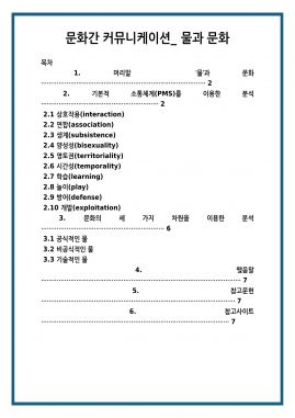 문화간 커뮤니케이션_ 물과 문화-1페이지