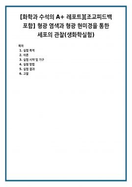 [화학과 수석의][조교피드백 포함] 형광 염색과 형광 현미경을 통한 세포의 관찰(생화학실험)-1페이지