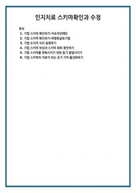 인지치료 스키마확인과 수정-1페이지
