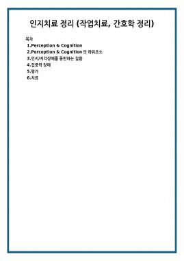 인지치료 정리 (작업치료, 간호학 정리)-1페이지