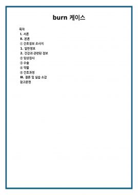 burn 케이스 레포트 자료-1페이지
