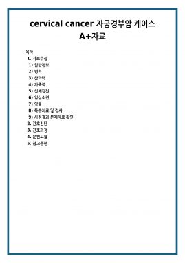 cervical cancer 자궁경부암 케이스 자료-1페이지