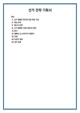 선거 전략 기획서-1페이지