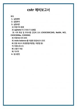 cstr 예비보고서-1페이지