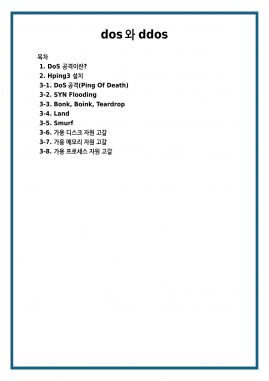 dos와 ddos 레포트 자료-1페이지