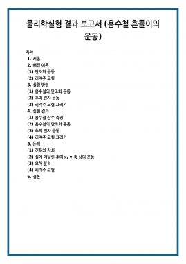 물리학실험 결과 보고서 (용수철 흔들이의 운동)-1페이지