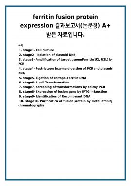 ferritin fusion protein expression 결과보고서(논문형)-1페이지
