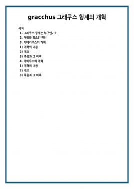 gracchus그래쿠스 형제의 개혁-1페이지
