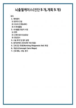 뇌출혈케이스(진단5개,계획5개)-1페이지