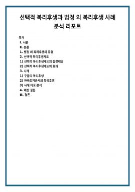 선택적 복리후생과 법정 외 복리후생 사례 분석 리포트-1페이지