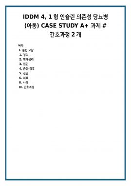 IDDM 4, 1형 인슐린 의존성 당뇨병 (아동) CASE STUDY 과제 간호과정 2개-1페이지