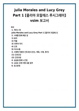 julia Morales and Lucy Grey Part 1 [줄리아 모랄레스 루시그레이] vsim 보고서-1페이지