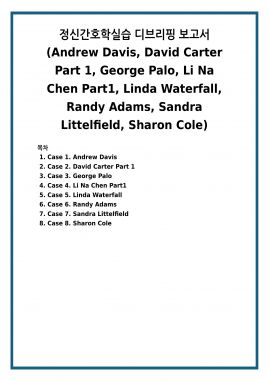 정신간호학실습 디브리핑 보고서(Andrew Davis, David Carter Part 1, George Palo, Li Na Chen Part1, Linda Waterfall,-1페이지