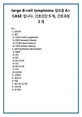 large B-cell lymphoma 림프종 CASE 입니다. 간호진단 5개, 간호과정 2개-1페이지