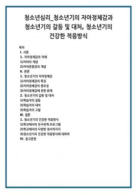 청소년심리_청소년기의 자아정체감과 청소년기의 갈등 및 대처, 청소년기의 건강한 적응방식-1페이지