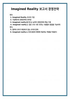 Imagined Reality 보고서 경영전략-1페이지