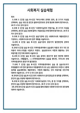 사회복지 실습체험-1페이지