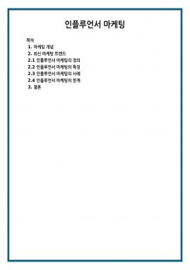 인플루언서 마케팅-1페이지