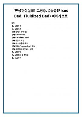 [반응현상실험] 고정층,유동층(Fixed Bed, Fluidized Bed) 예비레포트-1페이지