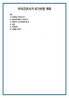 미국간호사가 되기위한 계획-1페이지