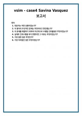 vsim - case4 Savina Vasquez 보고서-1페이지
