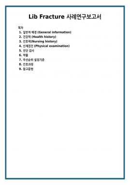 Lib Fracture 사례연구보고서-1페이지