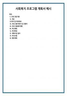 사회복지 프로그램 계획서 예시-1페이지