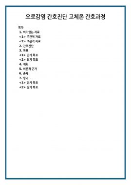 요로감염 간호진단 고체온 간호과정-1페이지