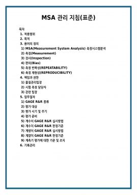 MSA 관리 지침(표준)-1페이지