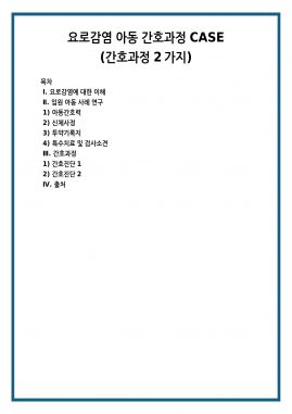 요로감염 아동 간호과정 CASE (간호과정 2가지)-1페이지