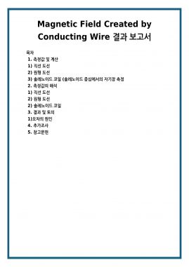 Magnetic Field Created by Conducting Wire 결과 보고서-1페이지