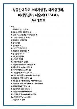 성균관대학교 소비자행동, 마케팅관리, 마케팅전략, 테슬라(TESLA),-1페이지