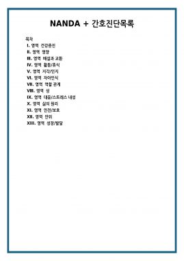 NANDA + 간호진단목록-1페이지