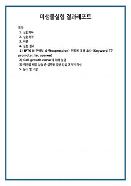 미생물실험 결과레포트-1페이지