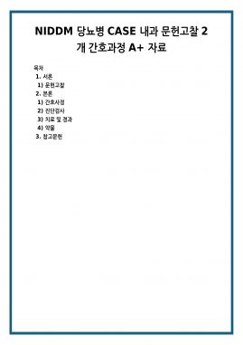 NIDDM 당뇨병 CASE 내과 문헌고찰 2개 간호과정 자료-1페이지