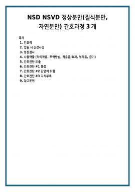 NSD NSVD 정상분만(질식분만, 자연분만) 간호과정 3개-1페이지